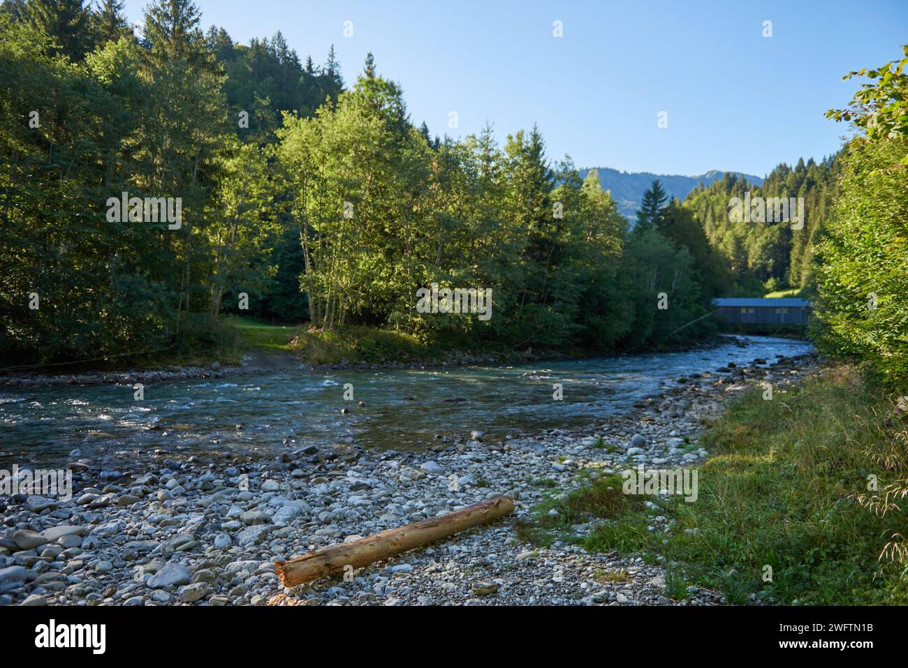 Alpine Oasis: A Mountain River's Journey through Rocky Shores and ...
