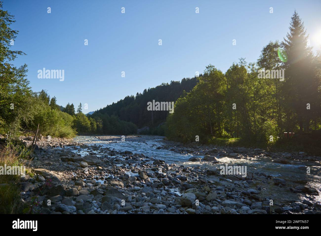 Alpine Oasis: A Mountain River's Journey through Rocky Shores and ...