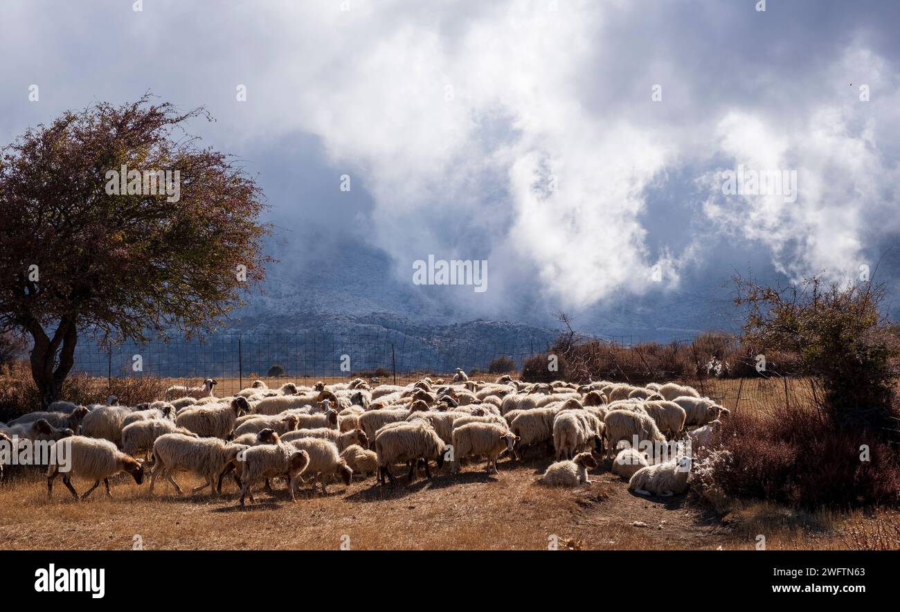 Nida plateau hi-res stock photography and images - Alamy