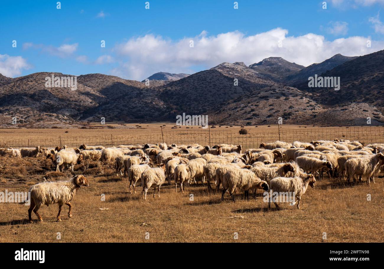 Nida plateau hi-res stock photography and images - Alamy