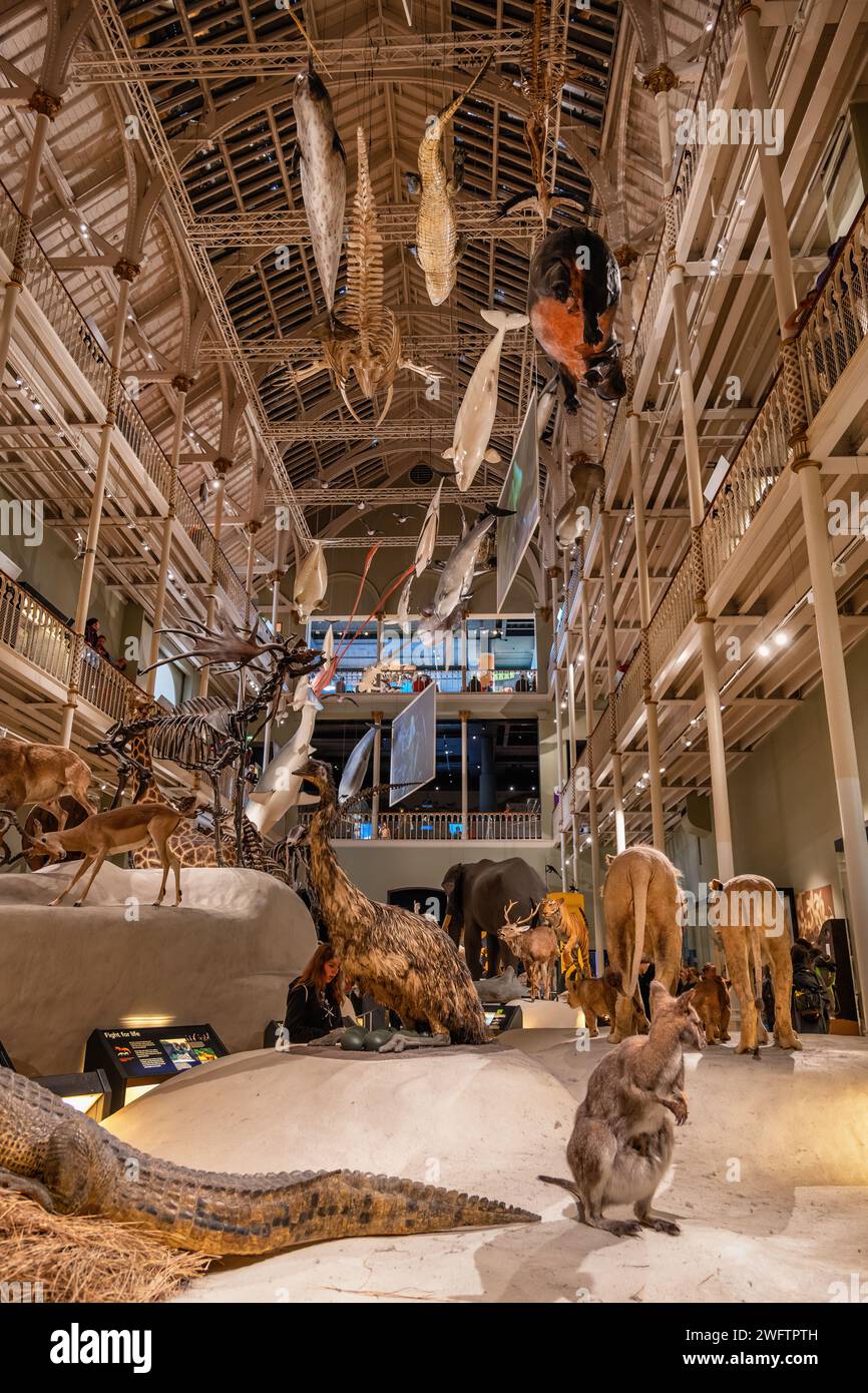 Natural World galleries exhibition in National Museum of Scotland ...