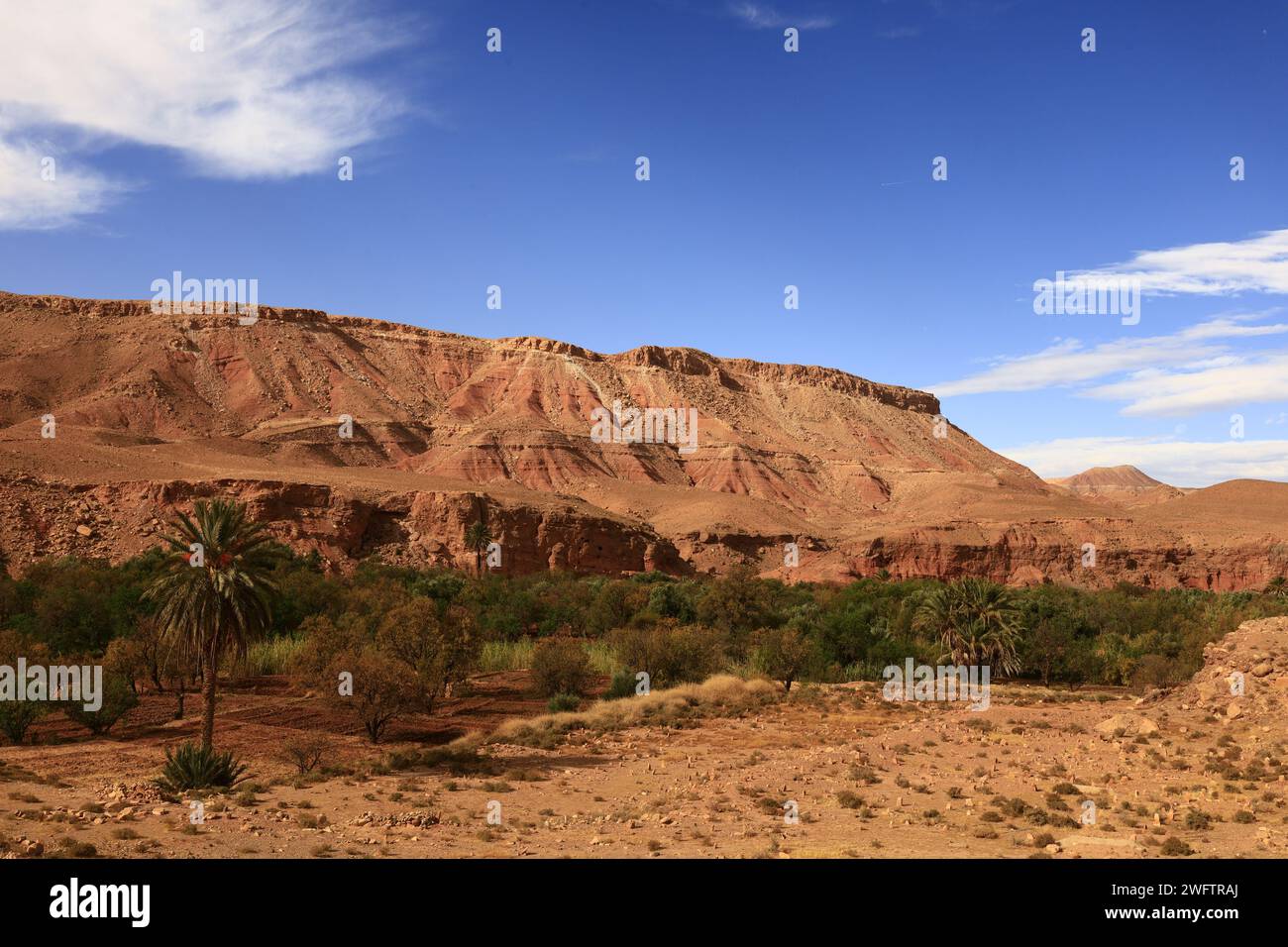 View on a mountain in the High Atlas which is a mountain range in ...