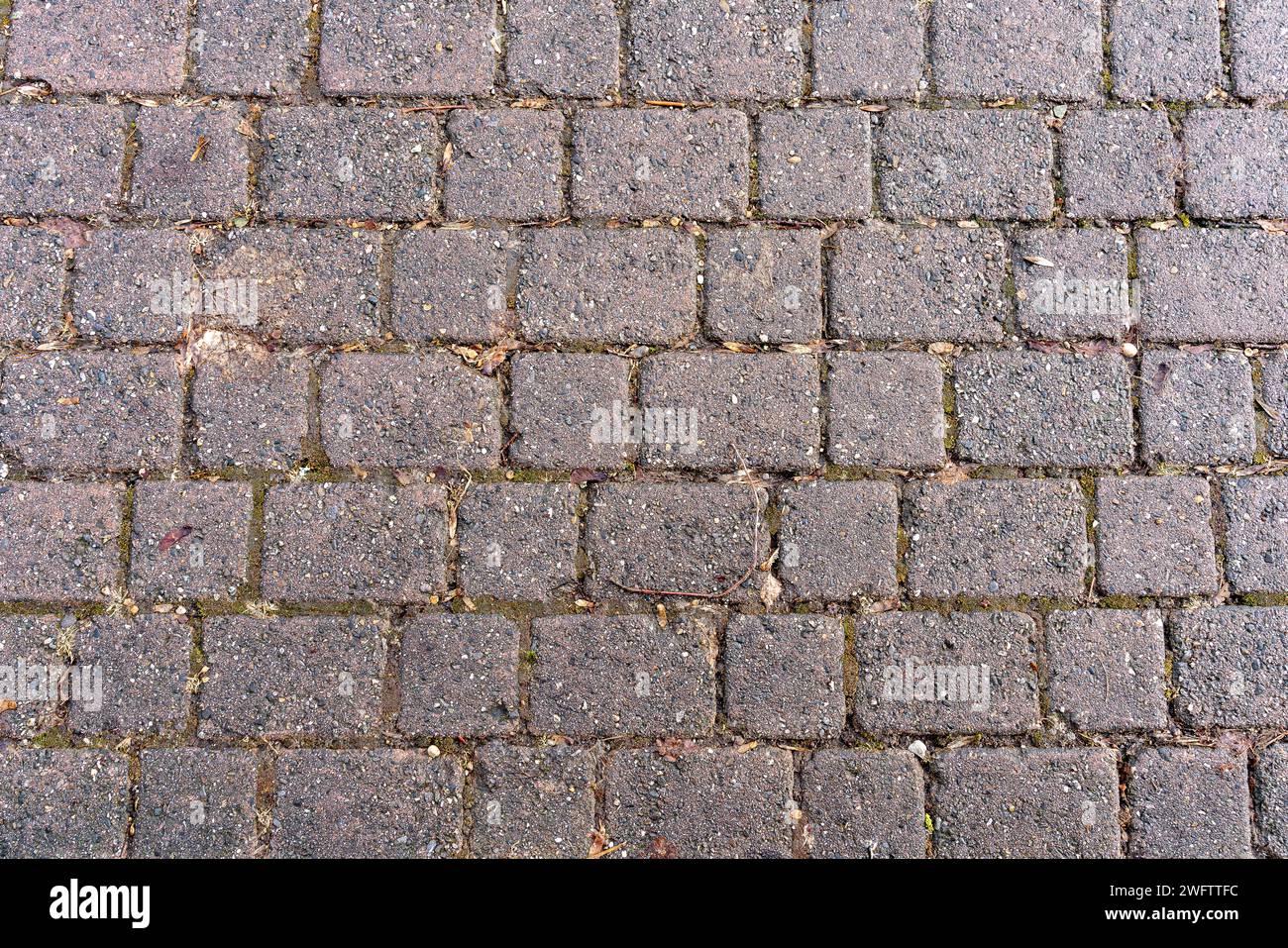 Texture of footpath pavement as seen from above. Old irregular stones ...