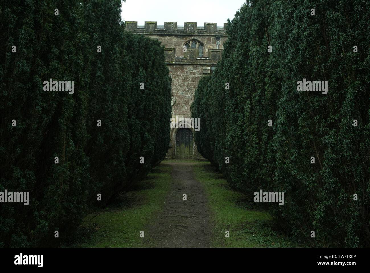 Gardens of the Church of St Andrew in the Somerset village of Mells ...