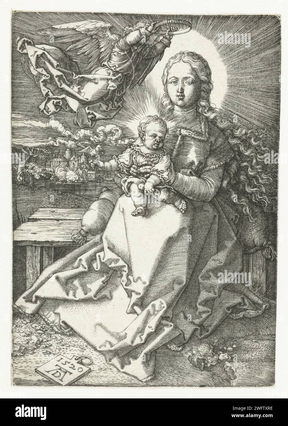 Crowning palm hi-res stock photography and images - Alamy