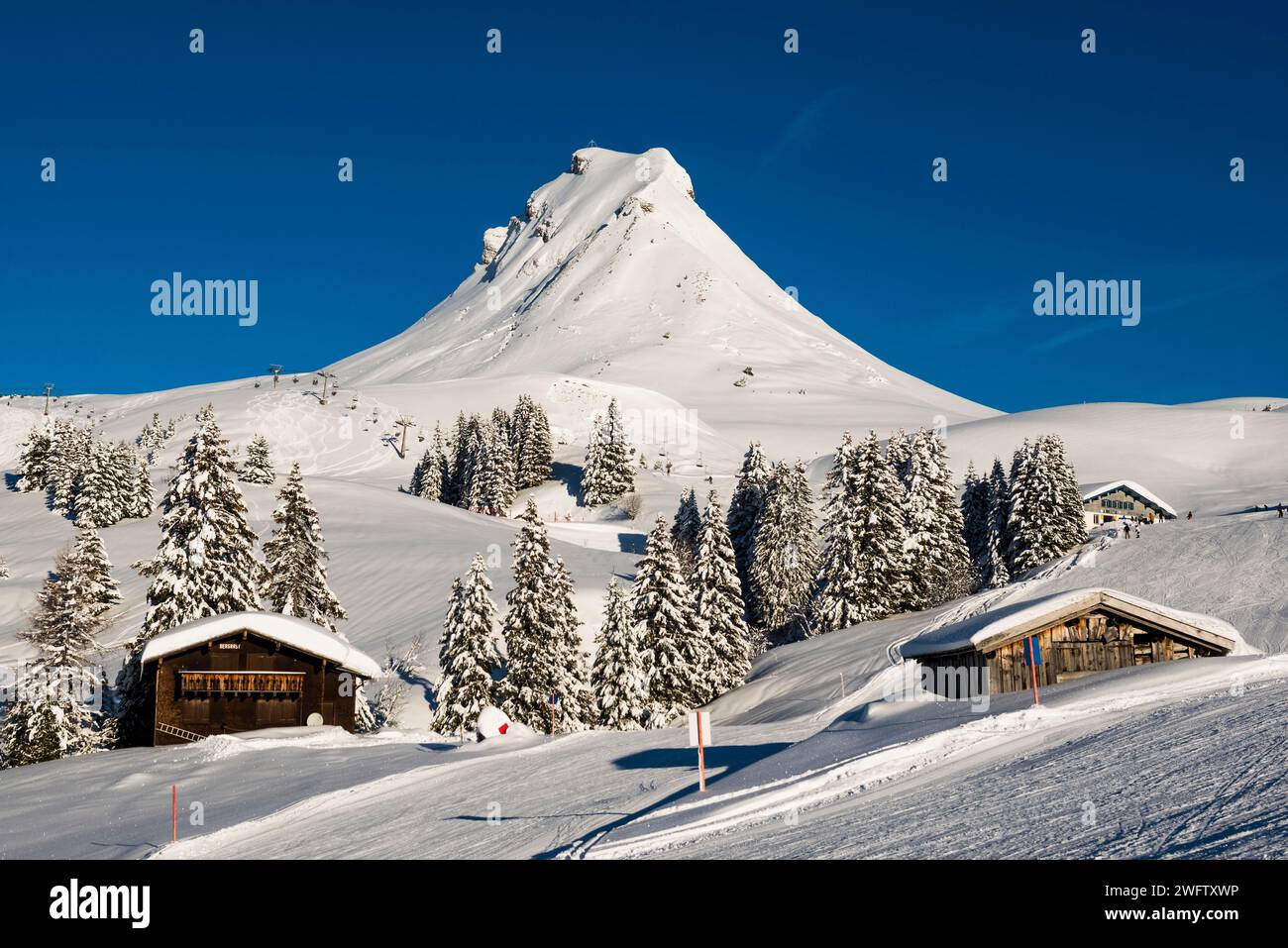 Snow-covered mountains and mountain hut with ski slope, Damuelser ...