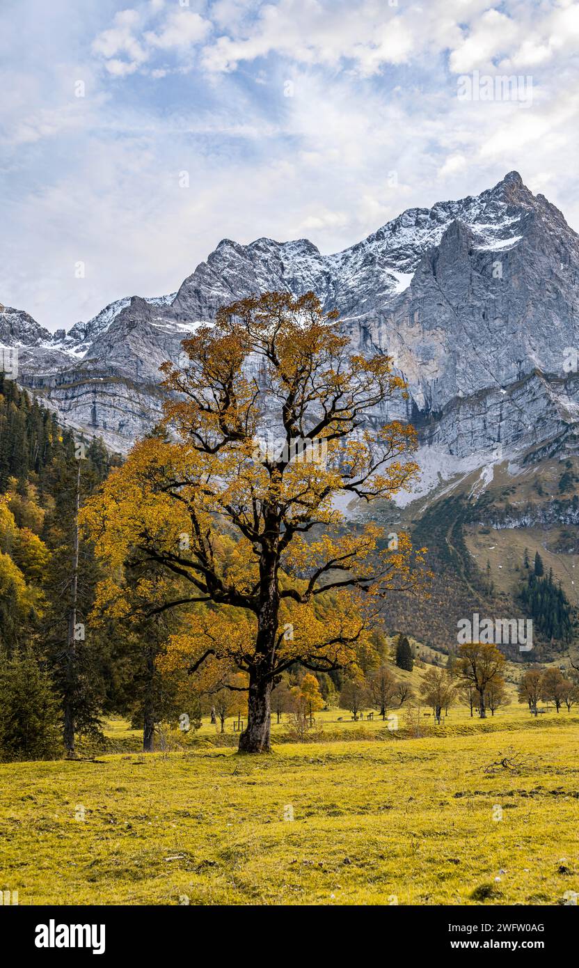 The landscape of the maple leaf hi-res stock photography and images - Alamy