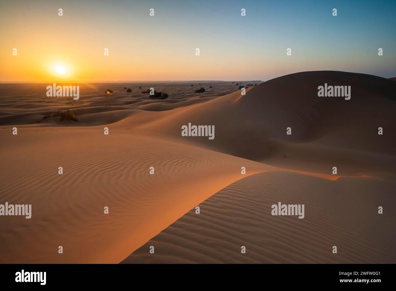 Sand dunes in the desert, near Duqm, Oman Stock Photo - Alamy
