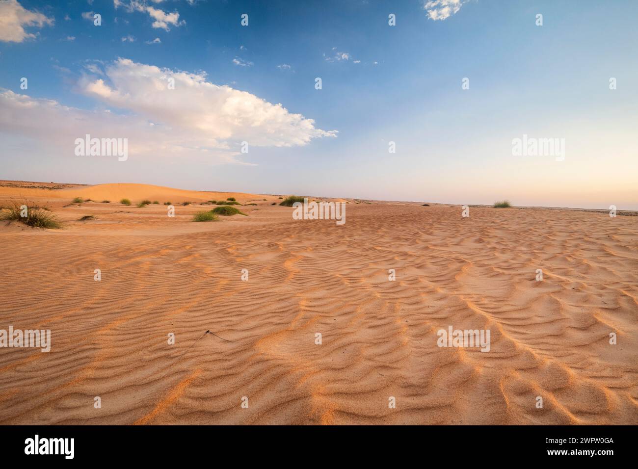 Arabian sands hi-res stock photography and images - Alamy