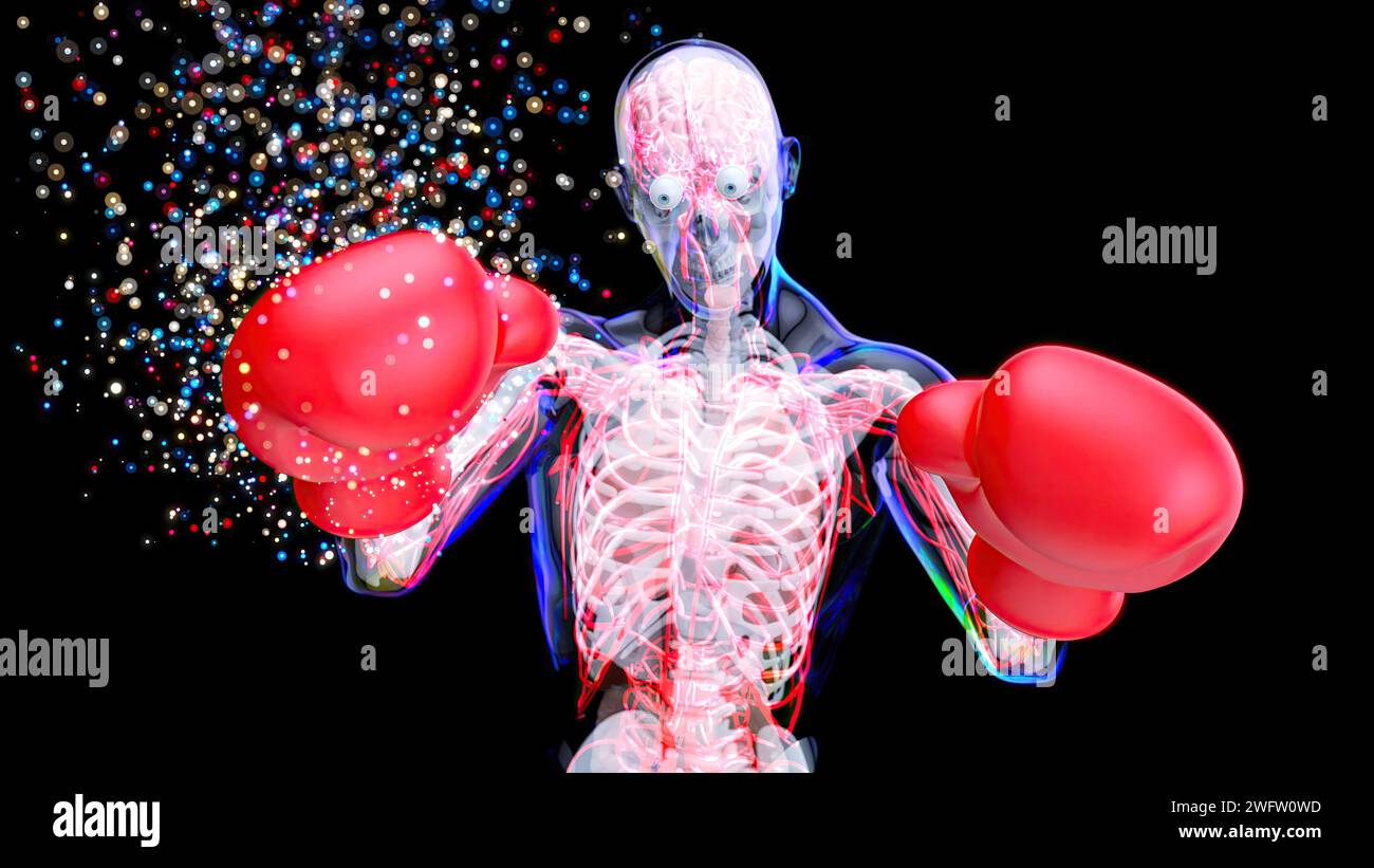 Abstract 3D anatomy of a man boxing Stock Photo - Alamy