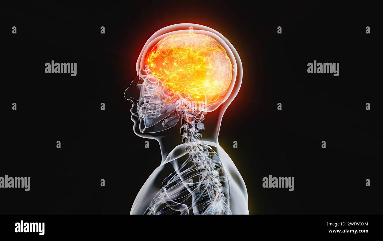 Abstract art of the brain Stock Photo - Alamy