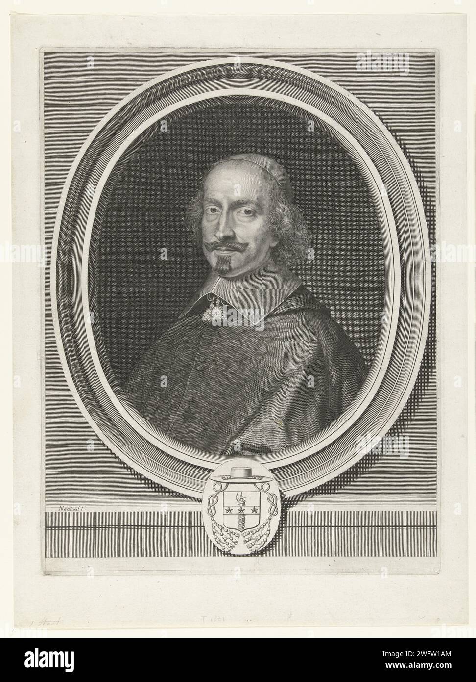 Bottom cardinal coat hi-res stock photography and images - Alamy