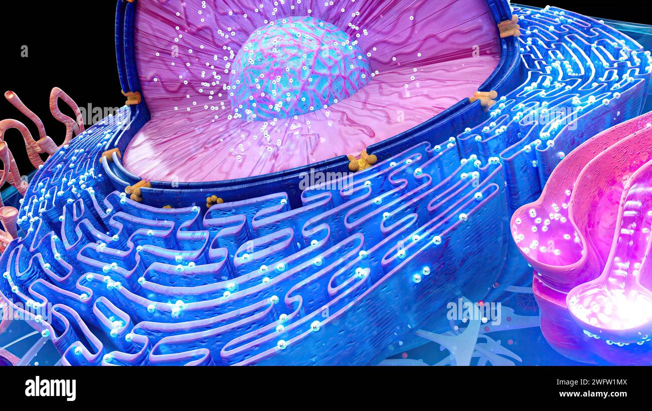 Abstract illustration of the biological cell Stock Photo - Alamy