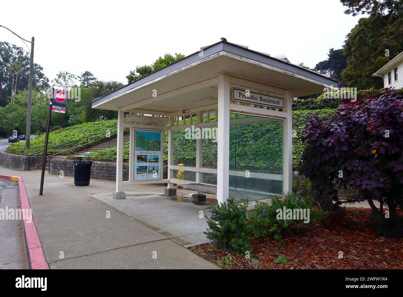 San Francisco, California: SFMTA MUNI Bus Stop n. 43 in the Presidio ...