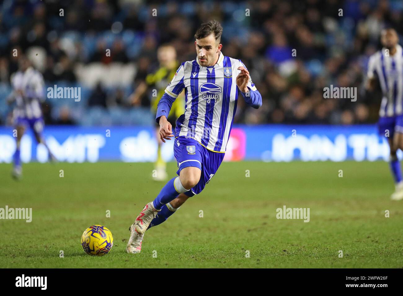 Sheffield, UK. 31st Jan, 2024. Sheffield Wednesday defender Pol ...