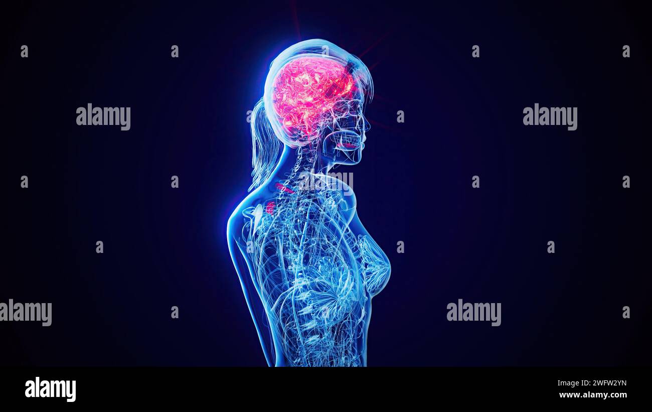 Abstract woman walking with the brain highlighted Stock Photo - Alamy