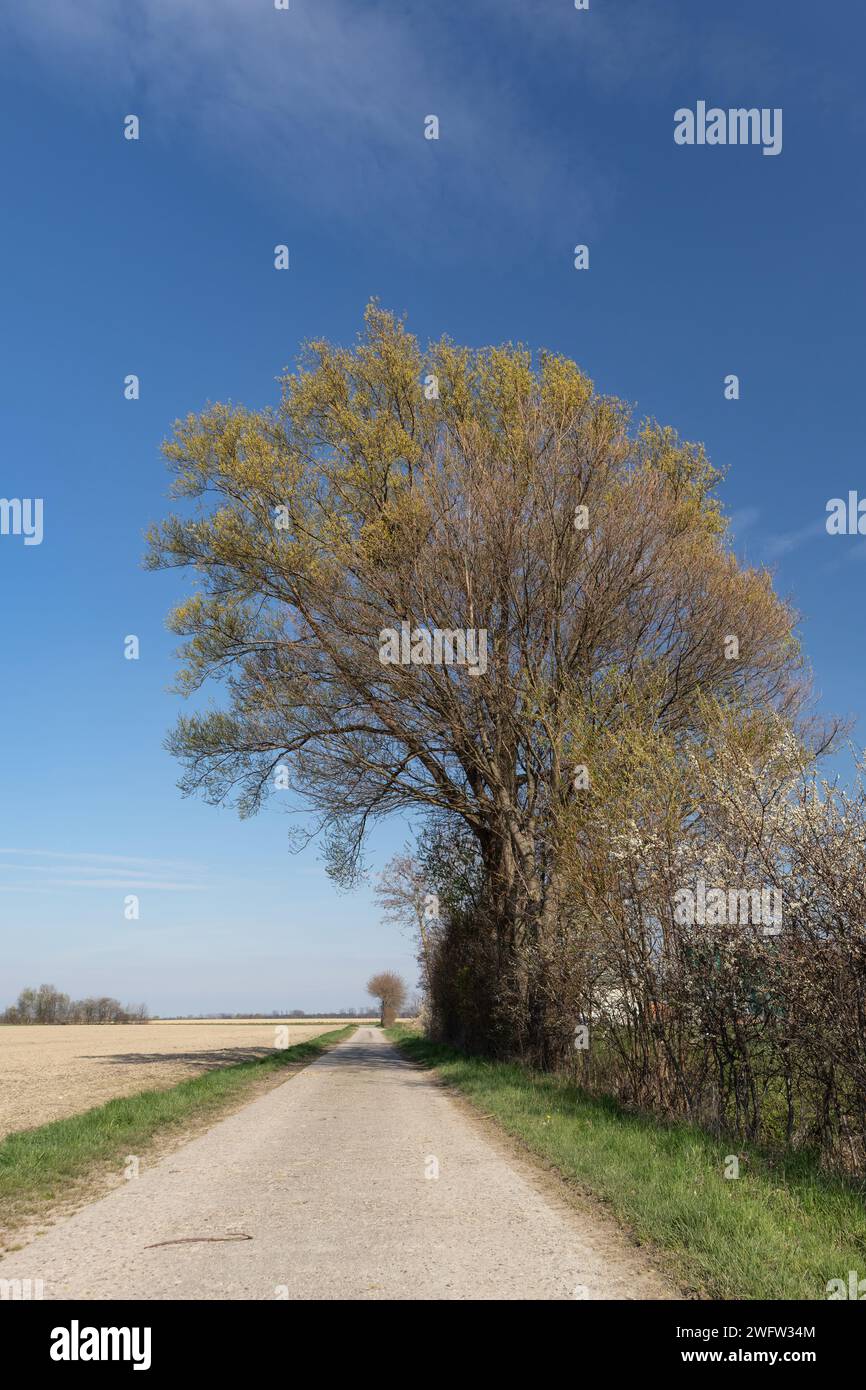 Track across the Fields Stock Photo - Alamy