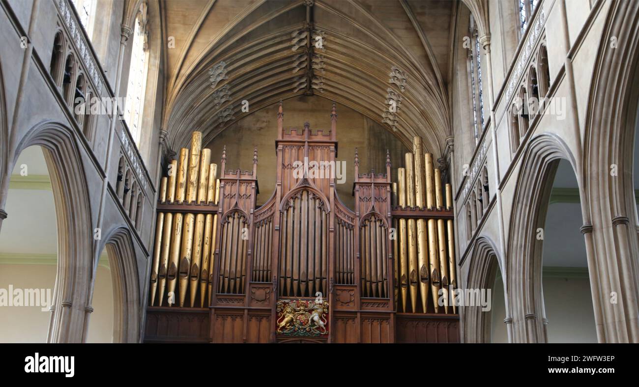 Organ in the Western Gallery of St Luke's Church Sydney Street Chelsea ...