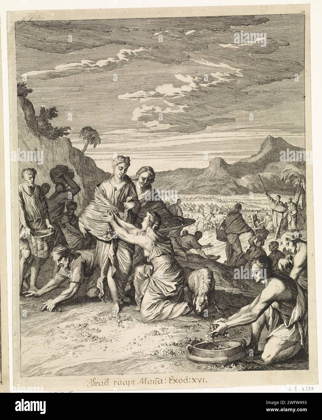 Collection of the Manna by the Israelites, Caspar Luyken, 1708 print ...