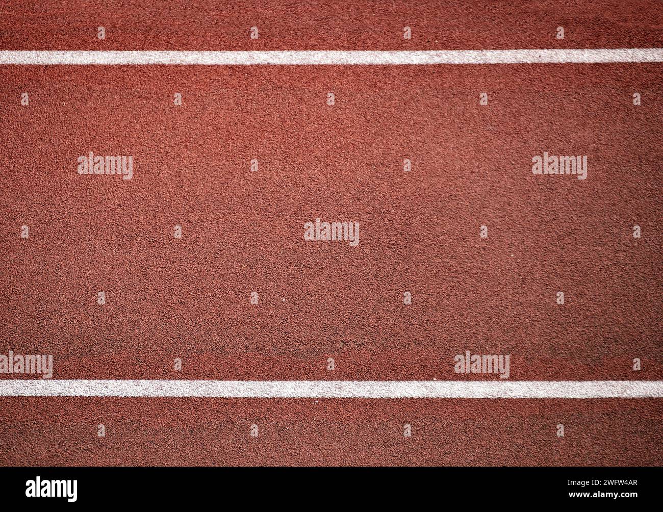 Running track rubber cover texture top view with two white lines ...