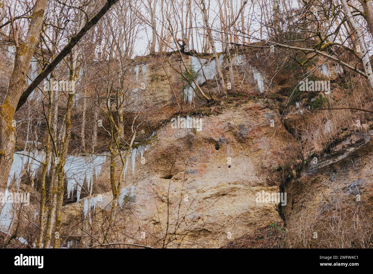 Monkeys in beautiful snowy hi-res stock photography and images - Alamy