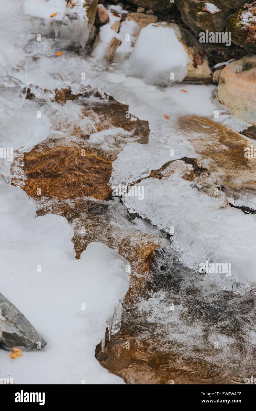 A peaceful snow-covered woods with a charming stream Stock Photo - Alamy