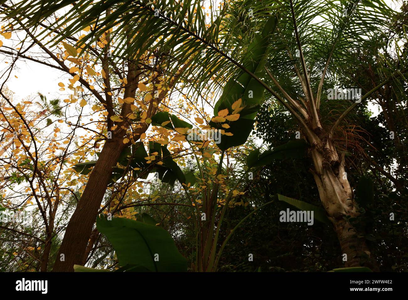 Anima Garden is a botanical garden located on the outskirts of the city ...