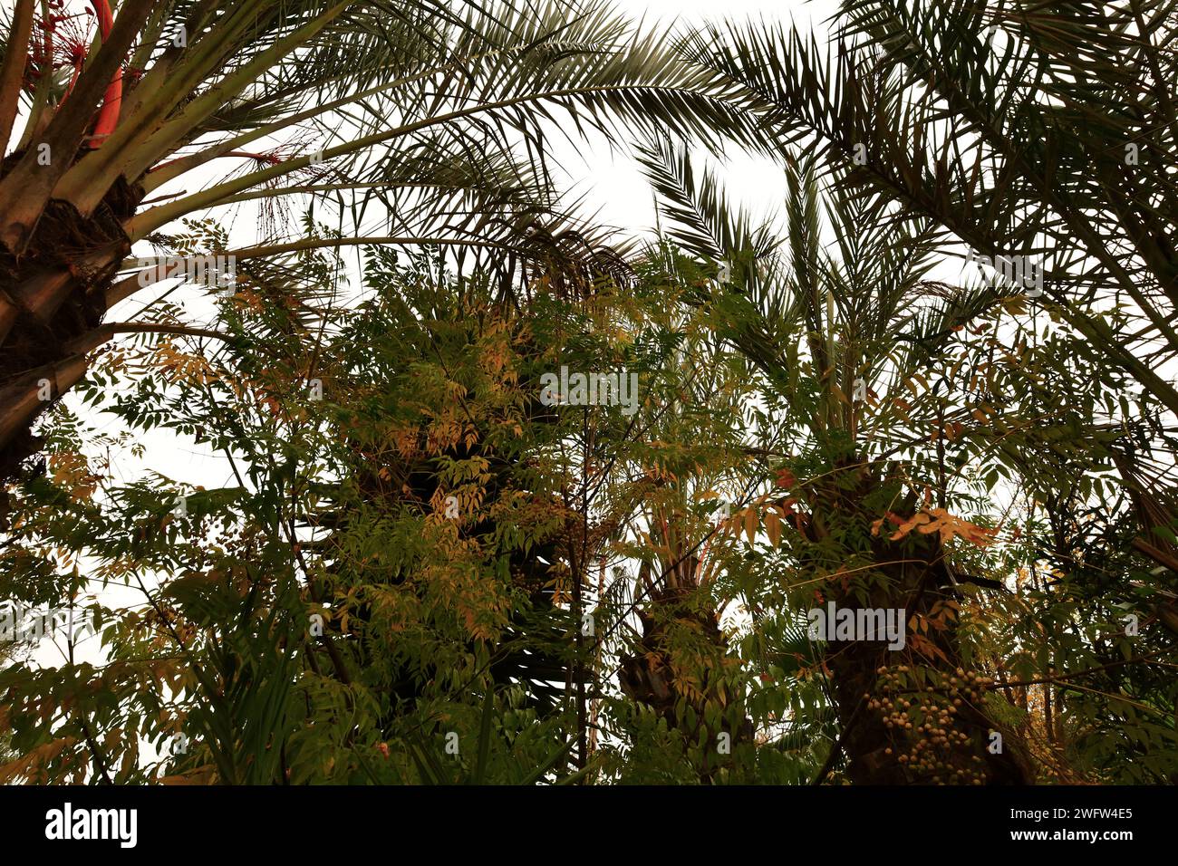 Anima Garden is a botanical garden located on the outskirts of the city ...