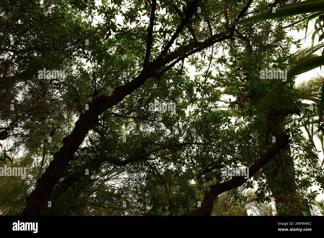 Anima Garden is a botanical garden located on the outskirts of the city ...