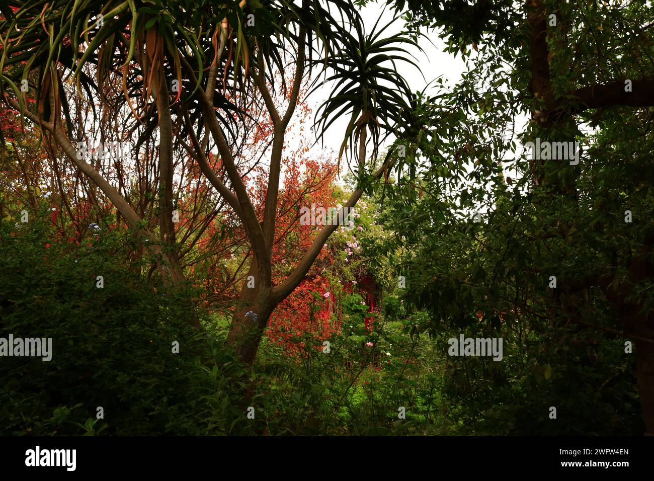 Anima Garden is a botanical garden located on the outskirts of the city ...