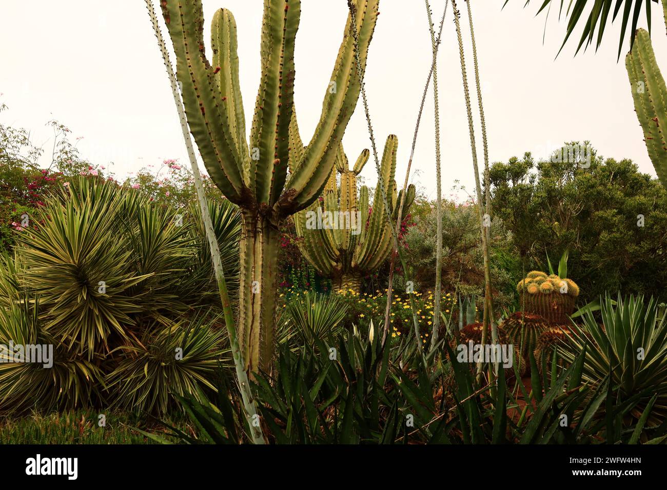 Anima Garden is a botanical garden located on the outskirts of the city ...