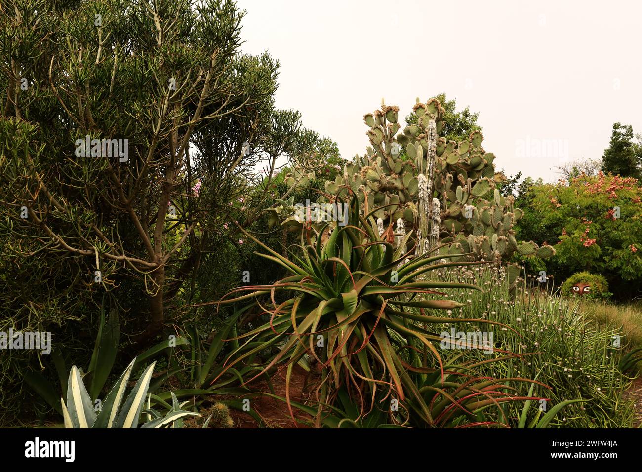 Anima Garden is a botanical garden located on the outskirts of the city ...