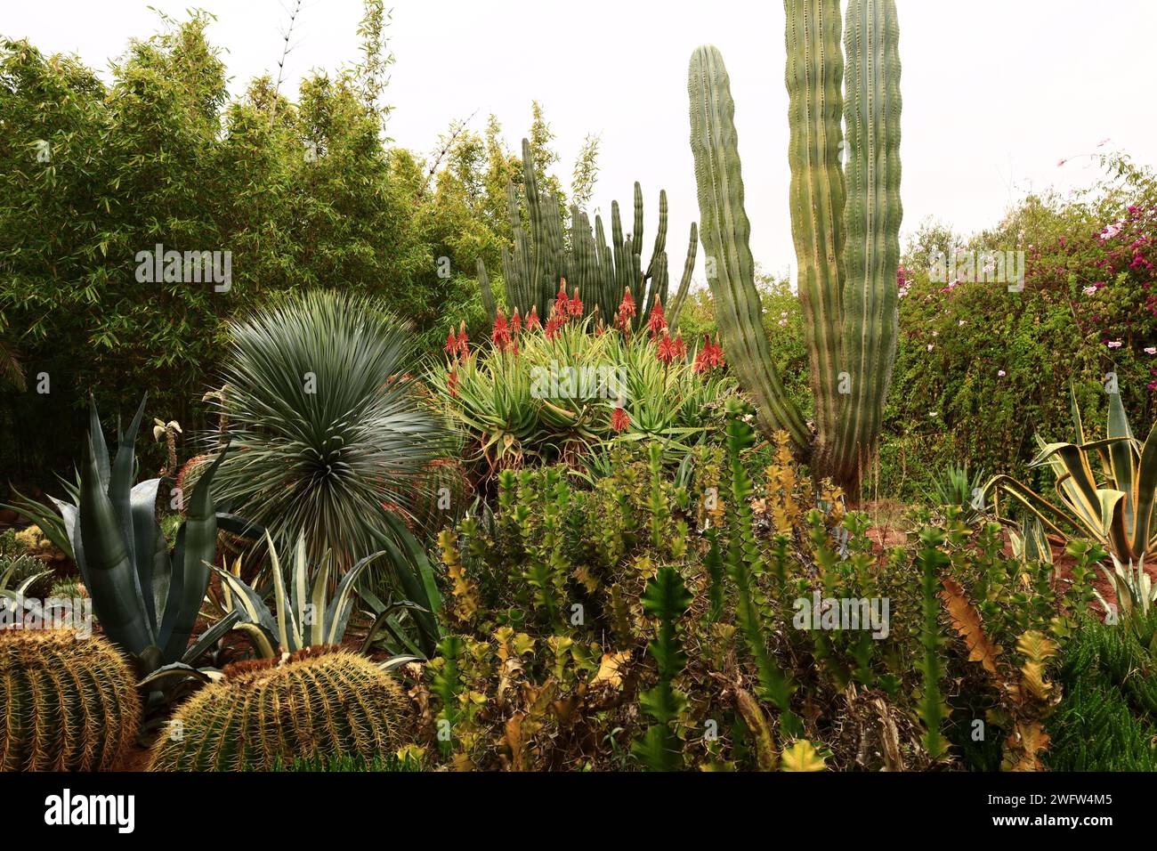 Anima Garden is a botanical garden located on the outskirts of the city ...