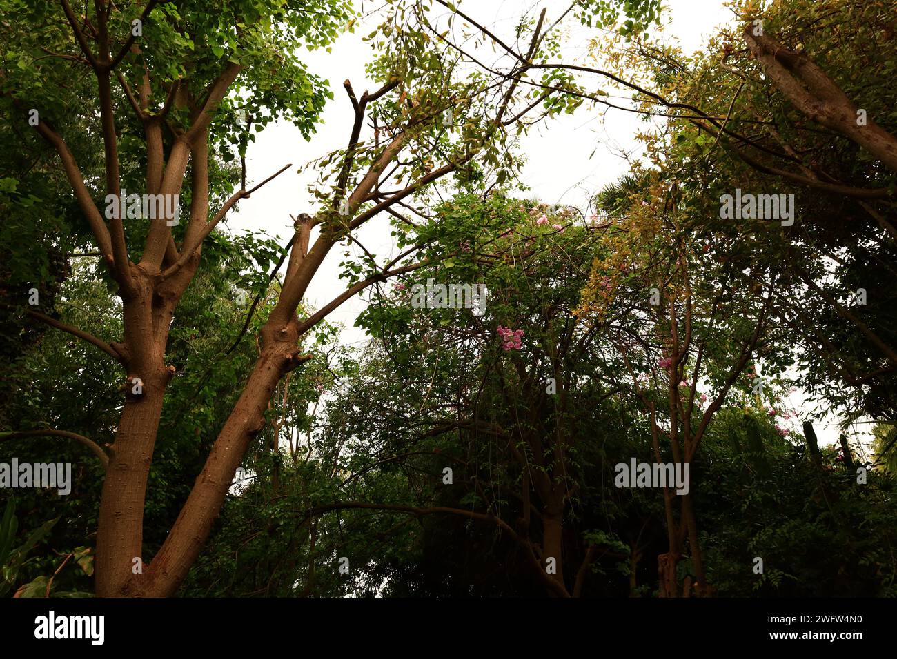 Anima Garden is a botanical garden located on the outskirts of the city ...