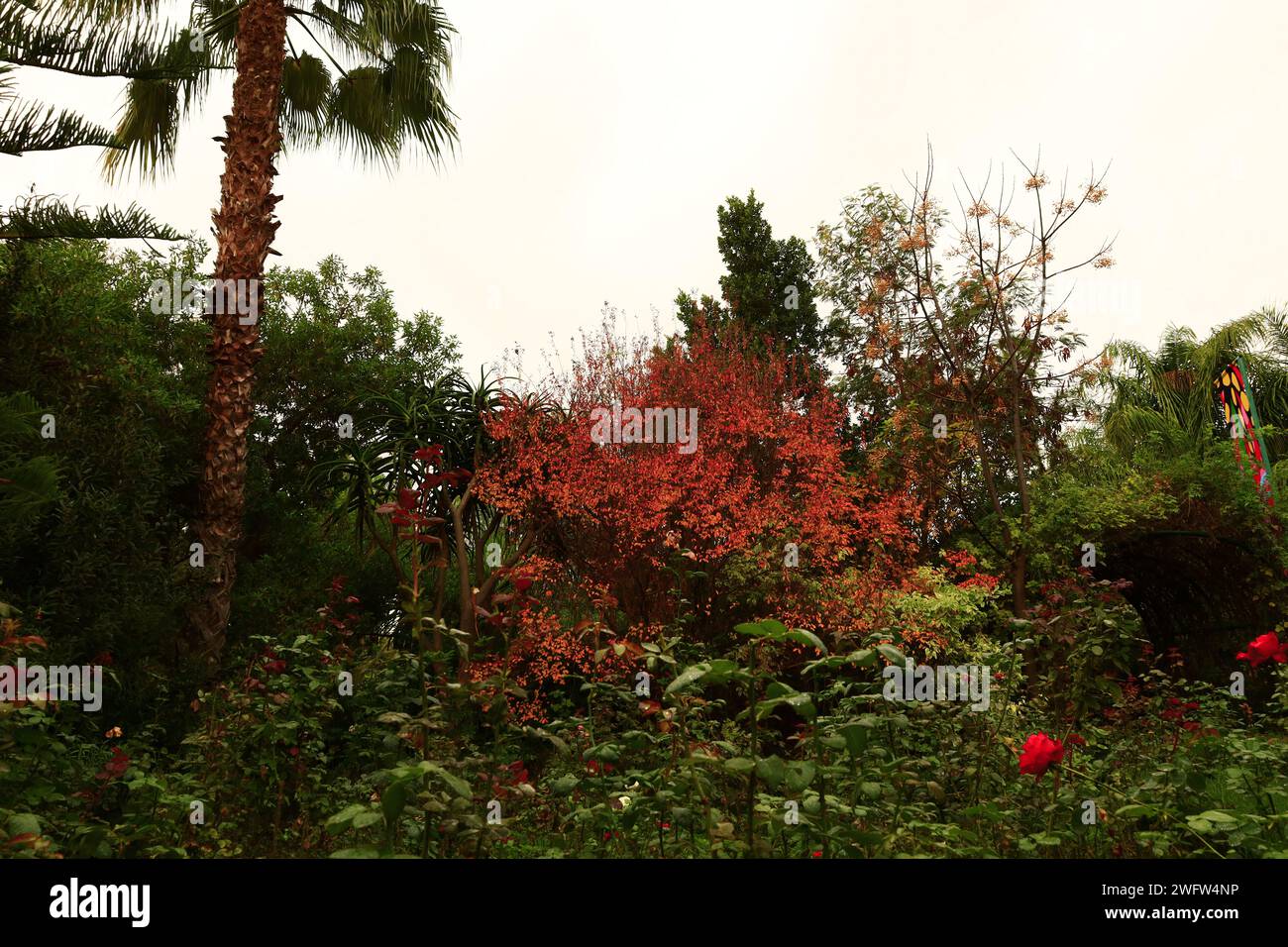 Anima Garden is a botanical garden located on the outskirts of the city ...