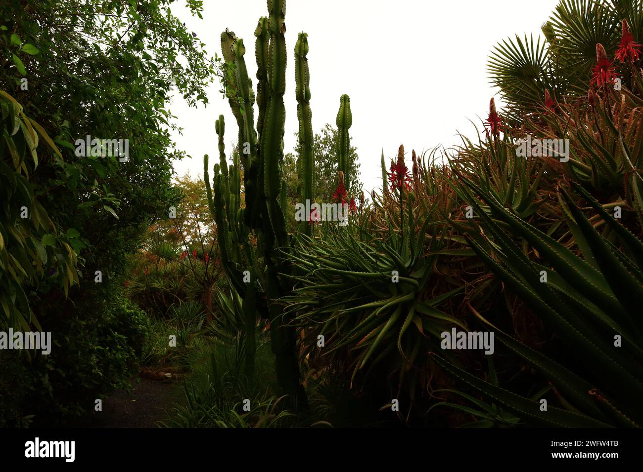 Anima Garden is a botanical garden located on the outskirts of the city ...