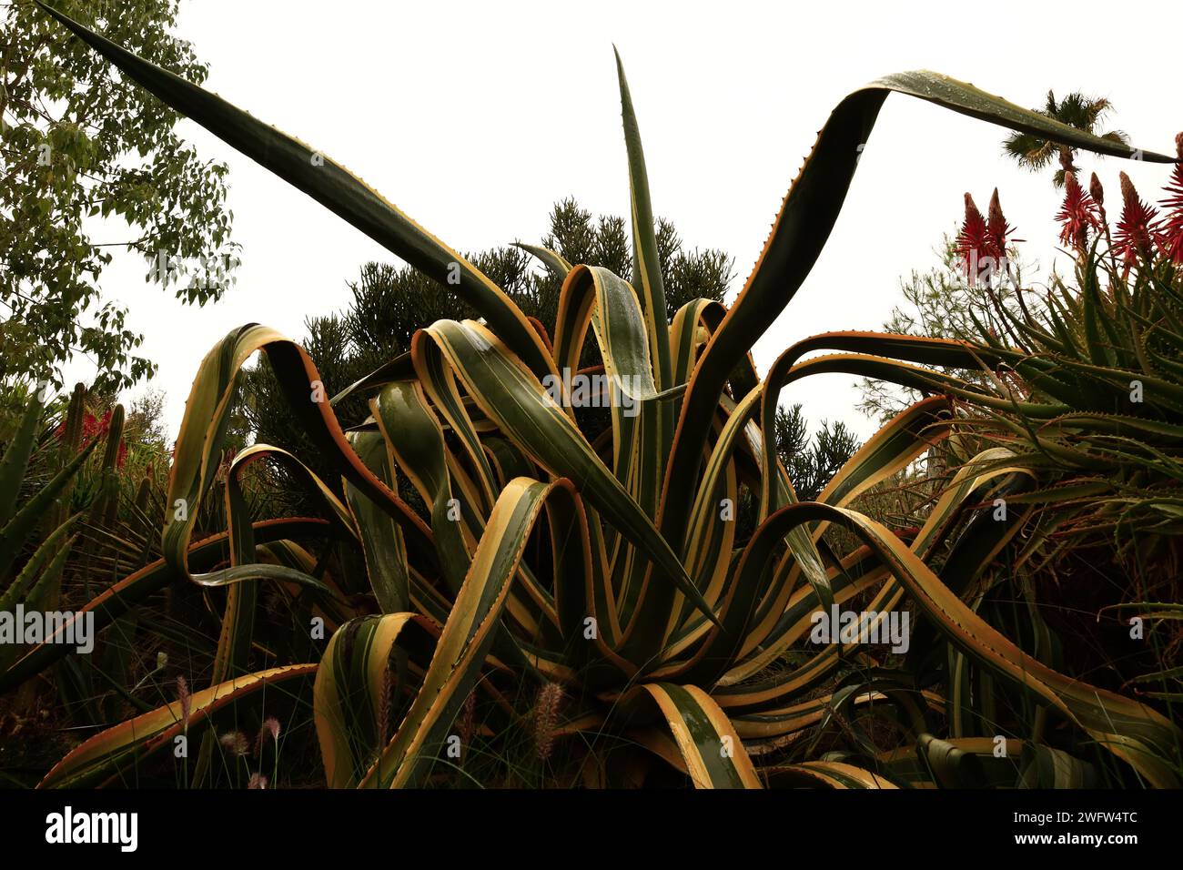 Anima Garden is a botanical garden located on the outskirts of the city ...