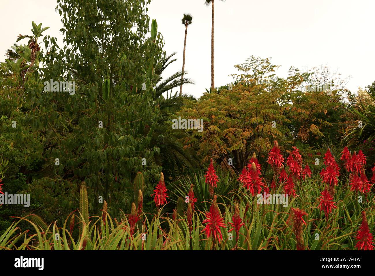 Anima Garden is a botanical garden located on the outskirts of the city ...