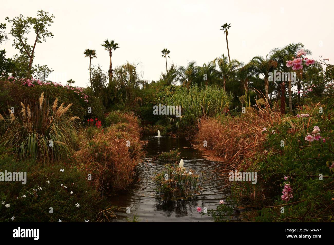 Anima Garden is a botanical garden located on the outskirts of the city ...