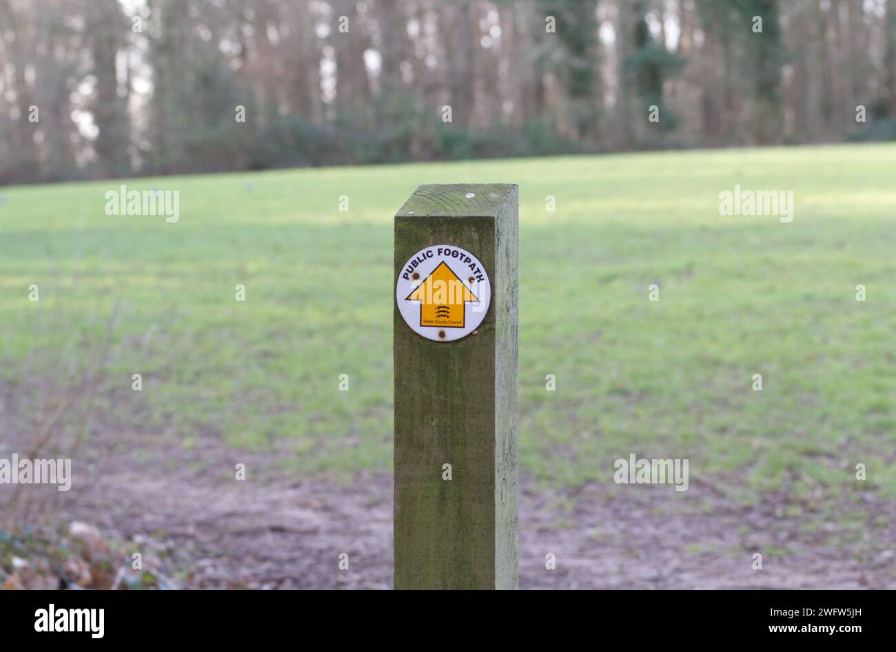 Wooden post with a circular sign showing the direction of a public ...
