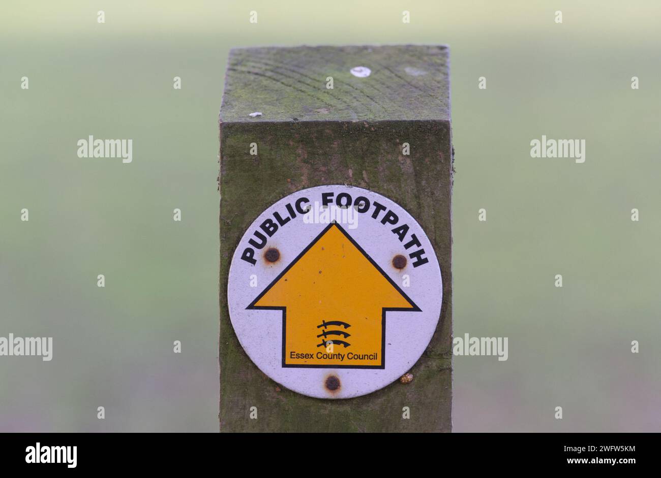 Wooden post with a circular sign showing the direction of a public ...
