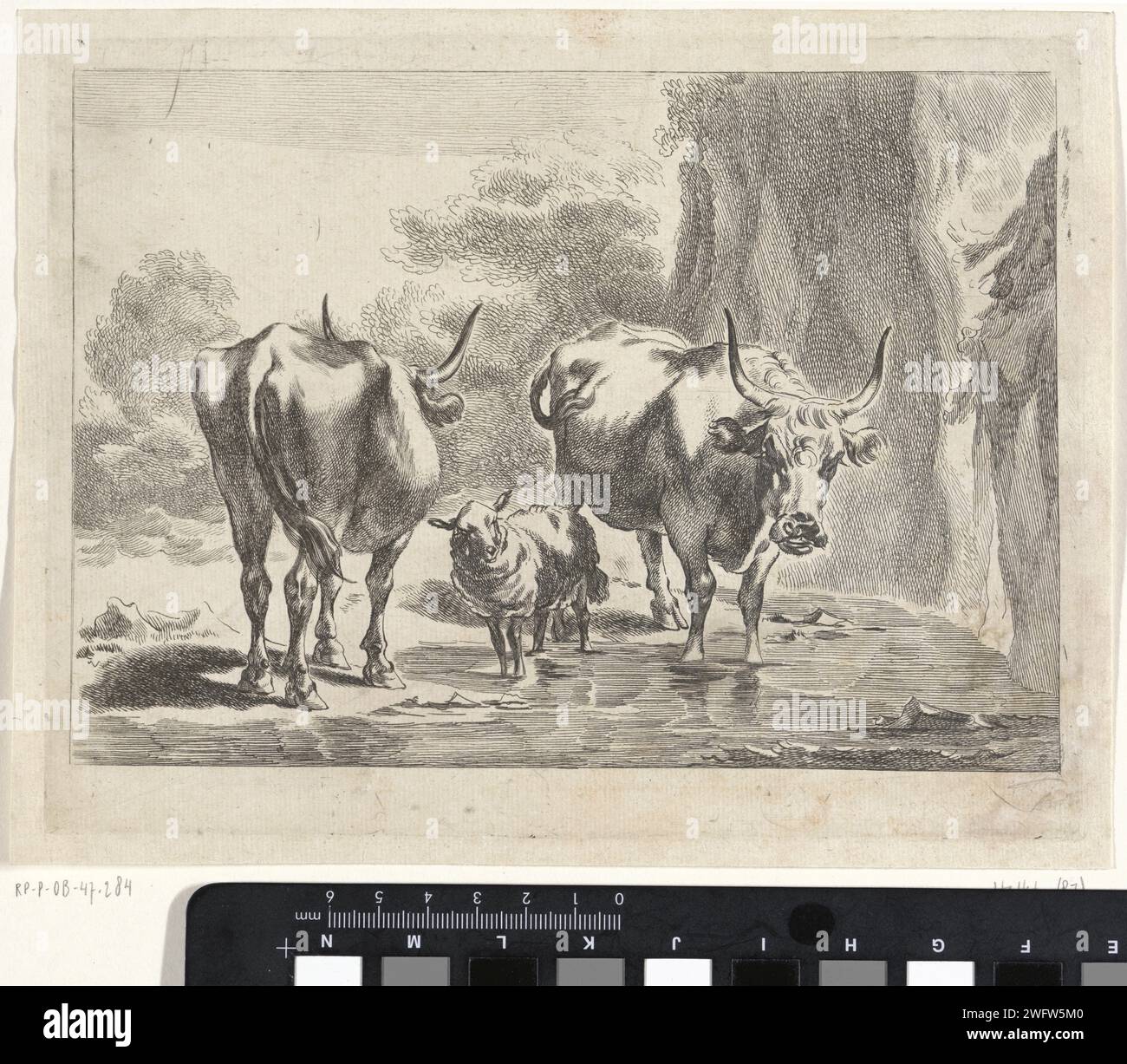 Two cattle and a sheep at a fordable place, Jan De Visscher, After ...