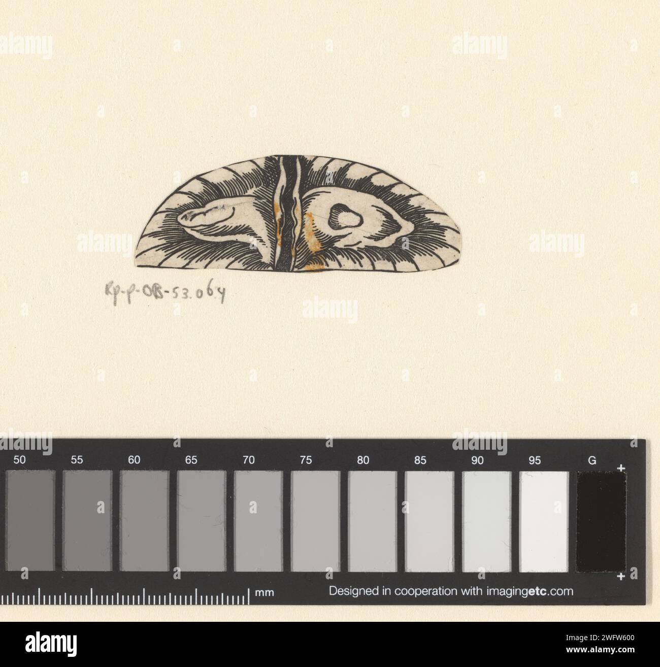Cross -section Blaas, Lucas Kilian, 1589 - 1637 print Print is cut off ...