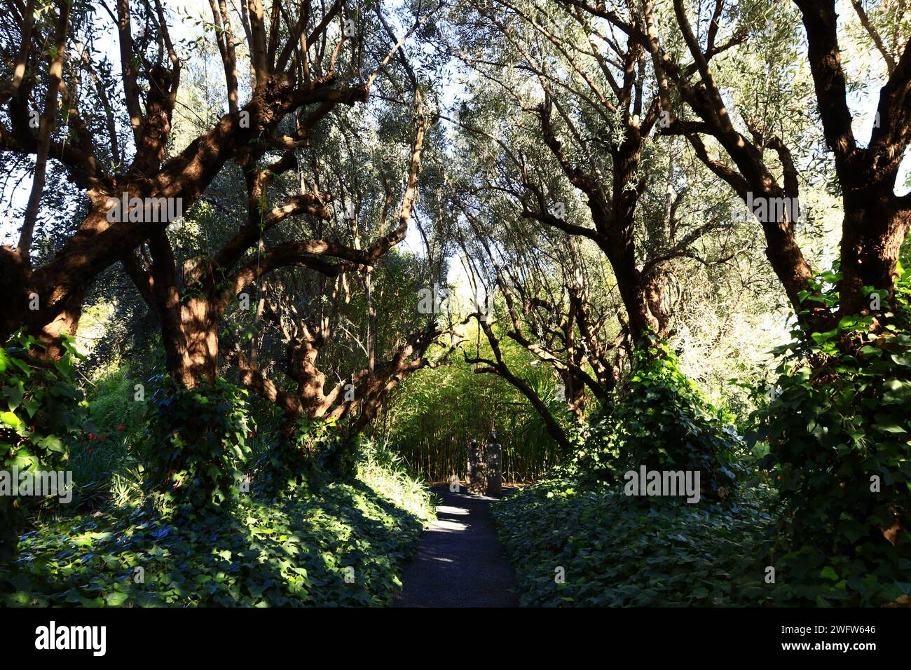 Anima Garden is a botanical garden located on the outskirts of the city ...