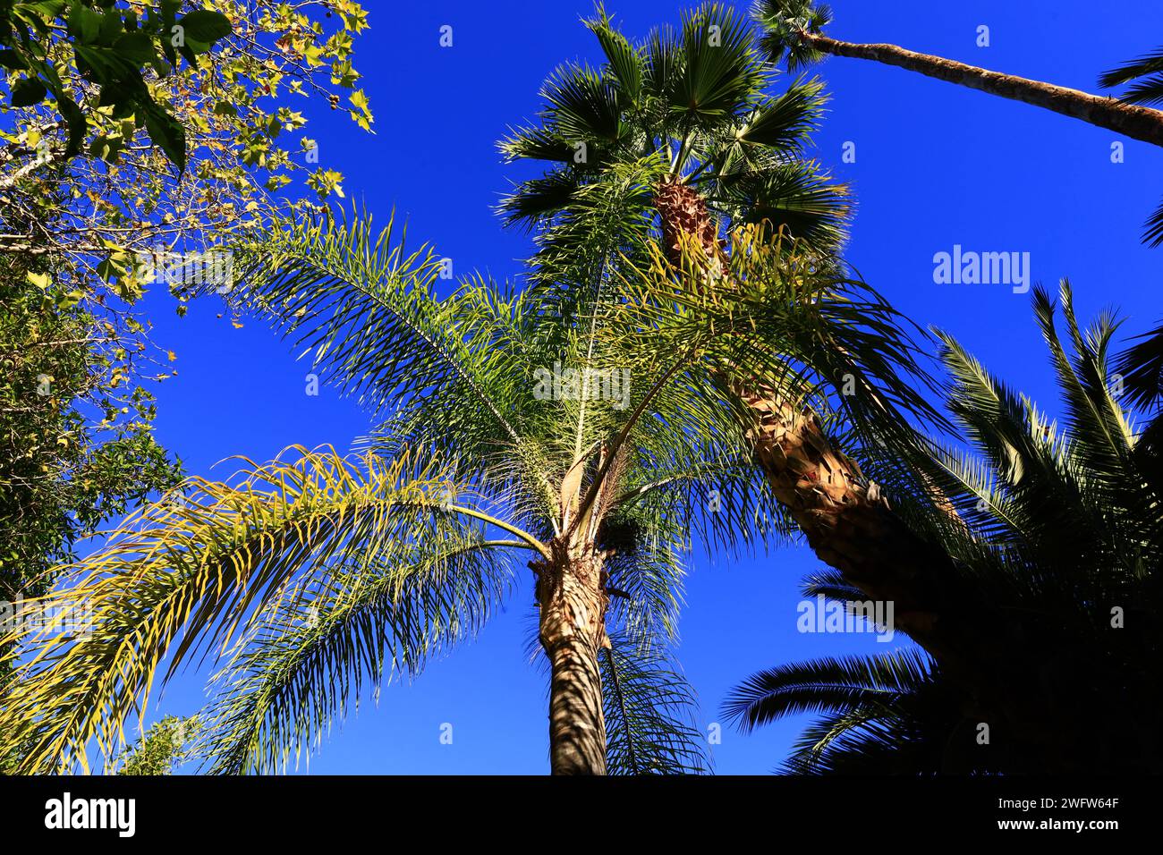 Anima Garden is a botanical garden located on the outskirts of the city ...