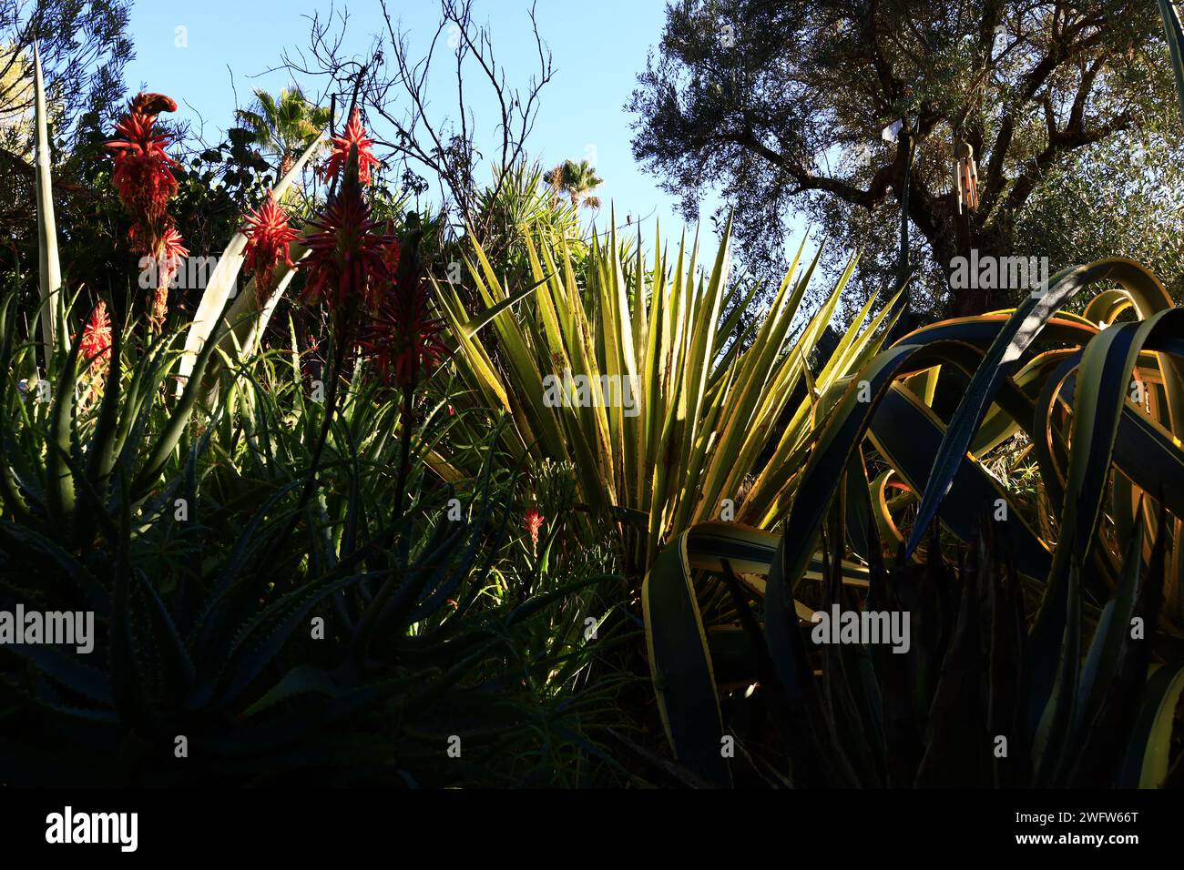 Anima Garden is a botanical garden located on the outskirts of the city ...