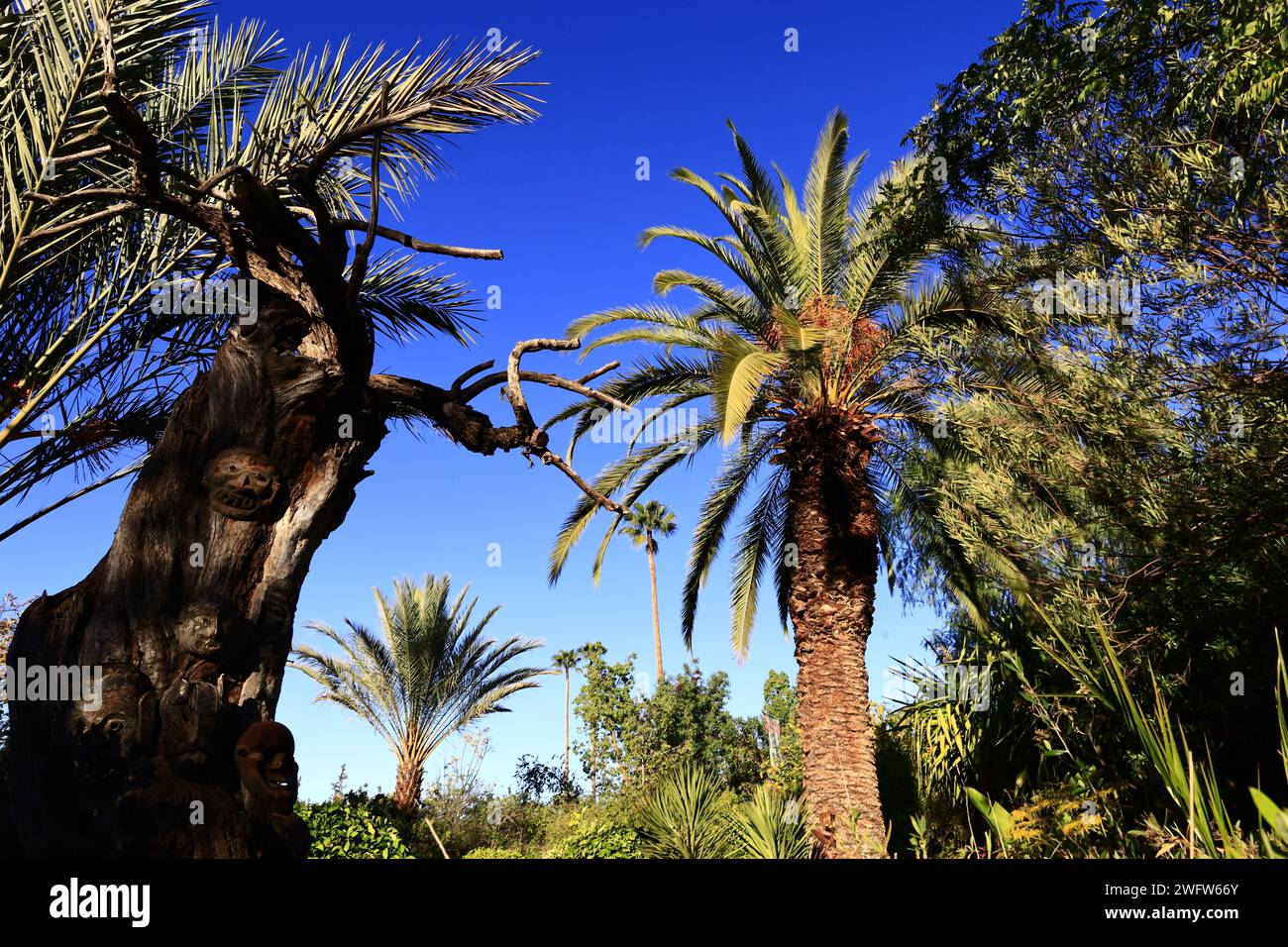 Anima Garden is a botanical garden located on the outskirts of the city ...