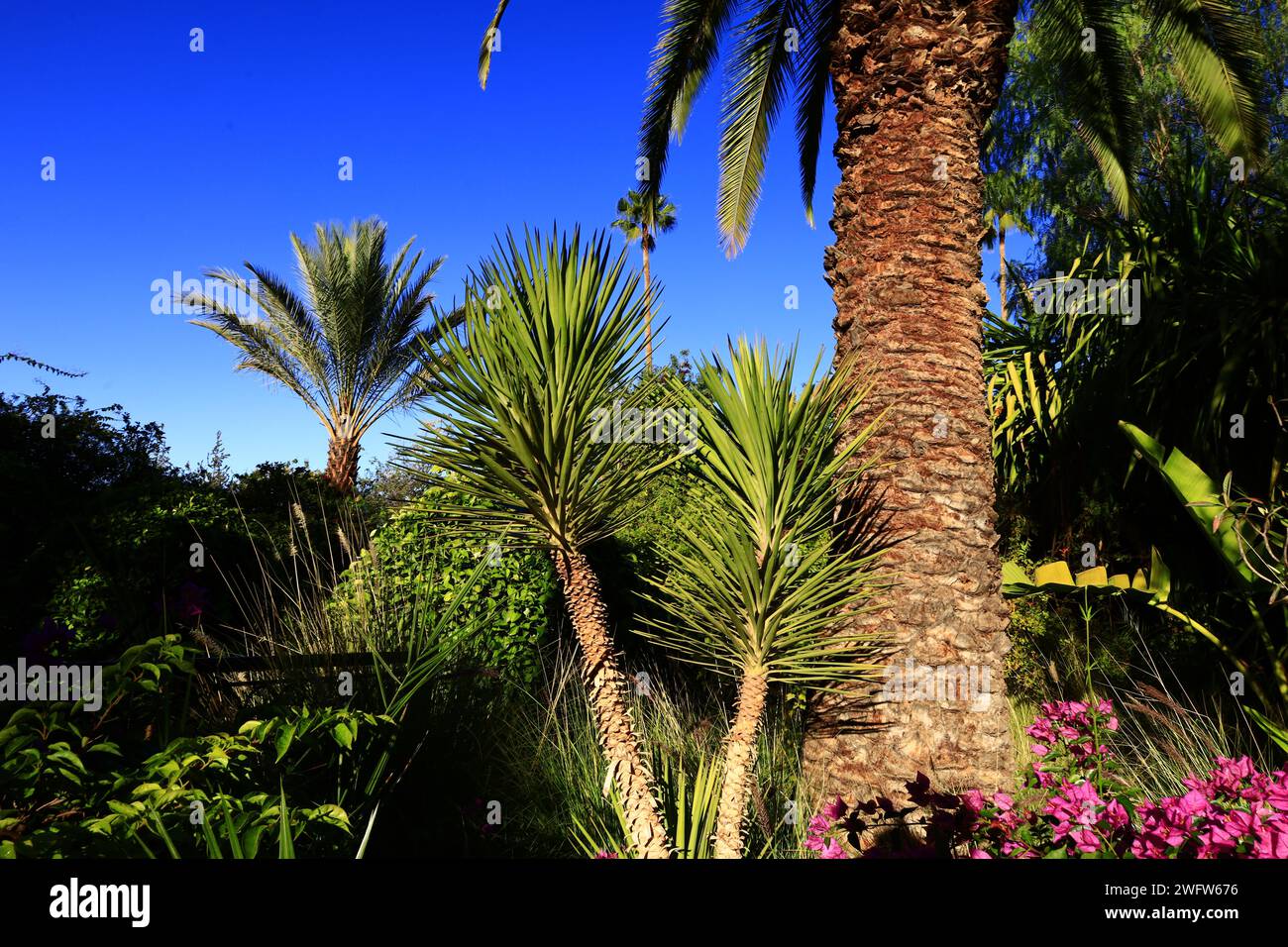 Anima Garden is a botanical garden located on the outskirts of the city ...