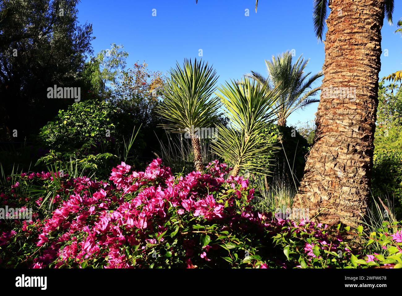 Anima Garden is a botanical garden located on the outskirts of the city ...