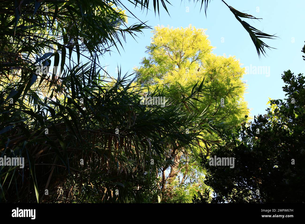 Anima Garden is a botanical garden located on the outskirts of the city ...